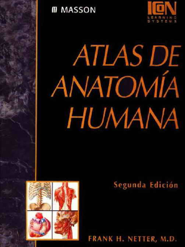 Netter, Frank - Atlas de Anatomia Humana | PDF