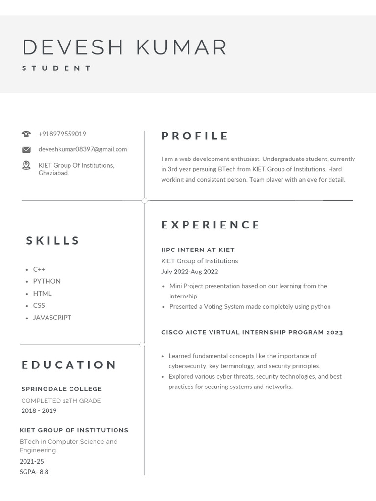 Grey Clean CV Resume Photo | PDF