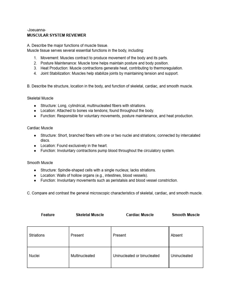 Muscular System Overview and Functions | PDF | Muscle Contraction ...
