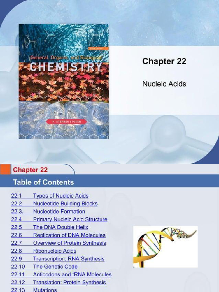 Nucleic Acids | PDF