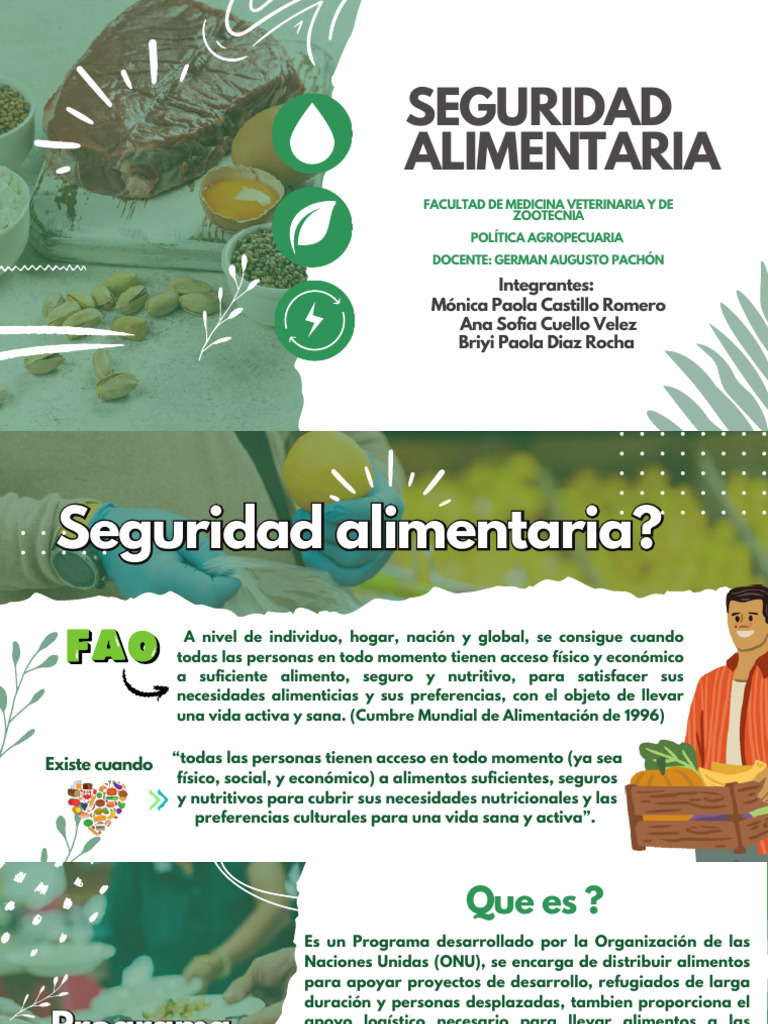 Seguridad Alimentaria y Políticas Globales | PDF | Seguridad alimentaria | Alimentos
