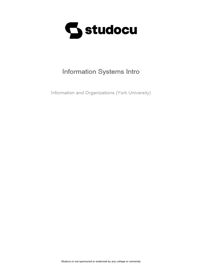 Information Systems Intro | PDF