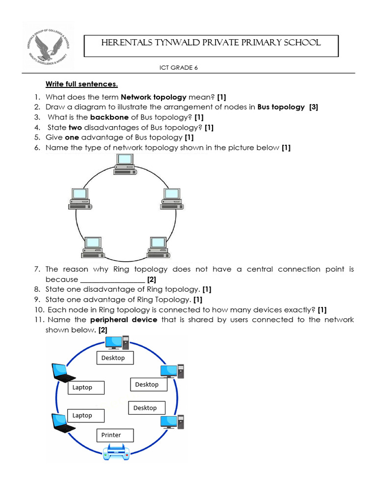 Understanding Network Topologies for Grade 6 | PDF