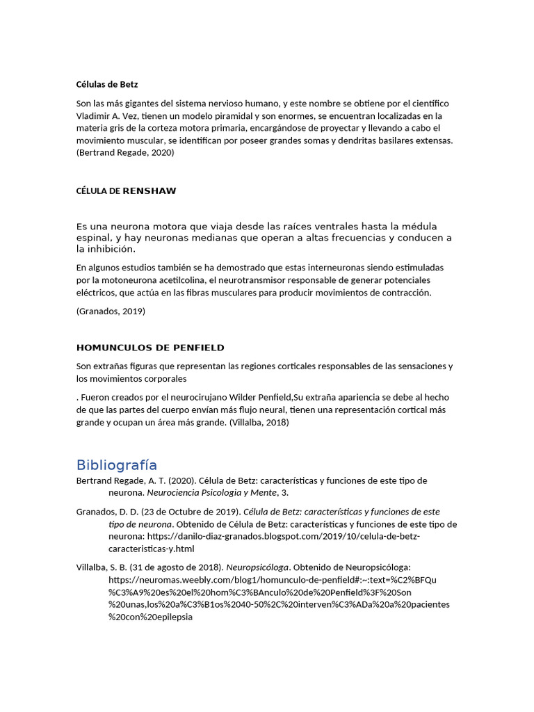Células de Betz y su función motora | PDF