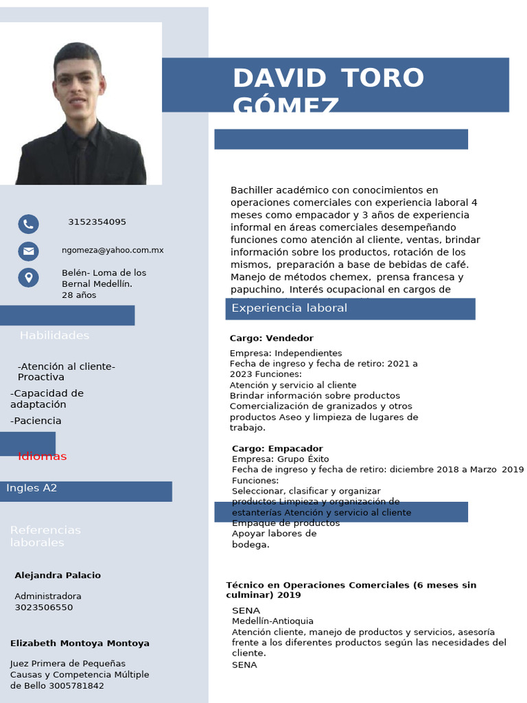Perfil Profesional de David Toro Gómez | PDF | Business