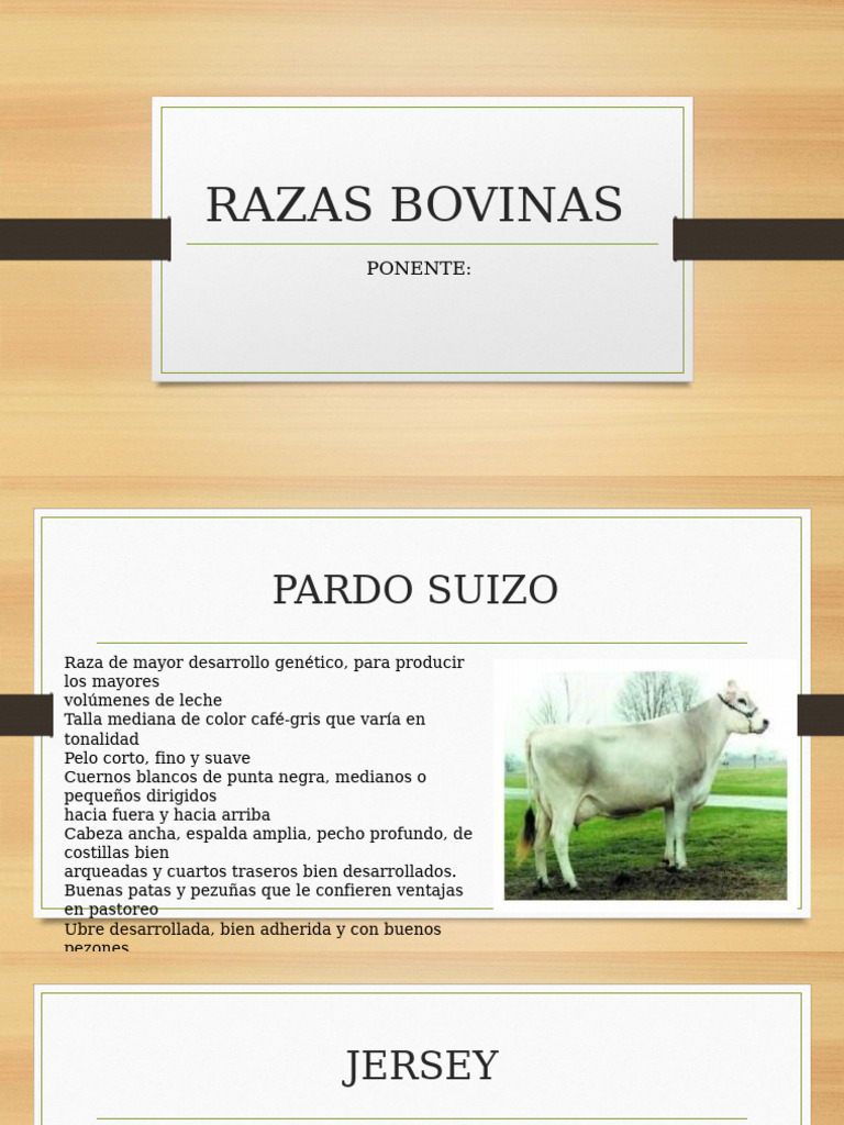 Razas Bovinas | PDF