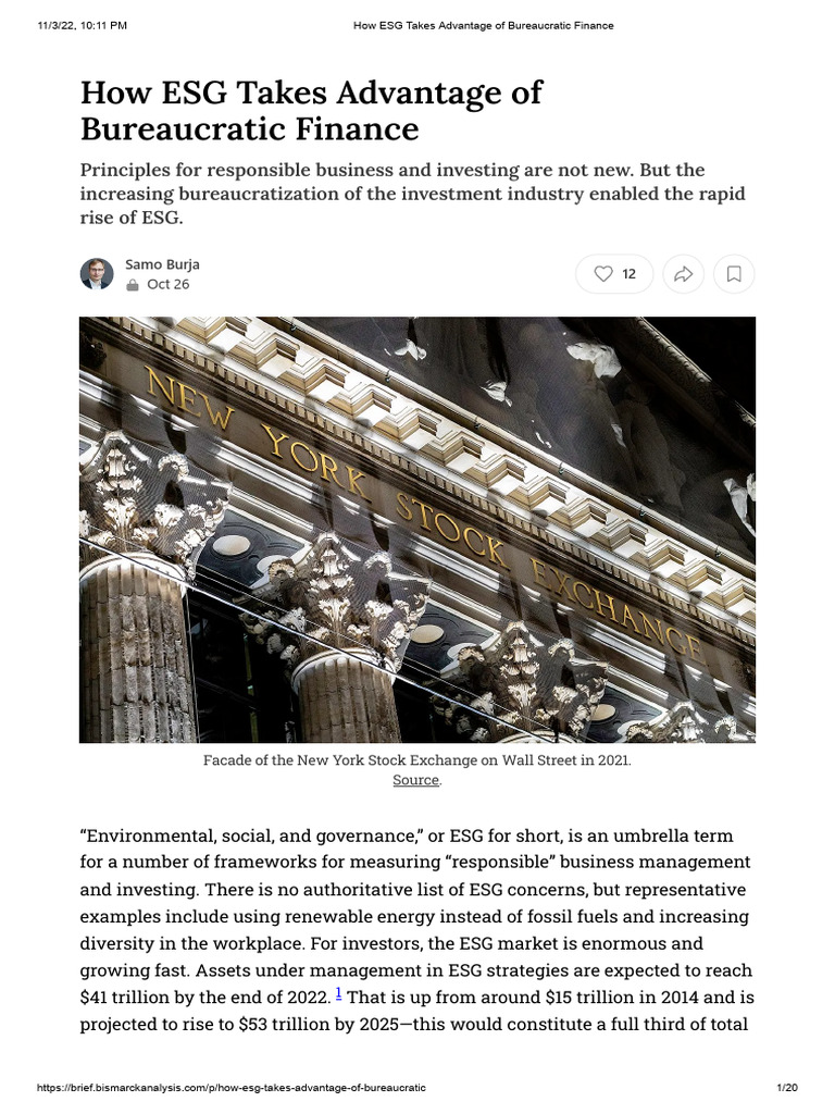How ESG Takes Advantage of Bureaucratic Finance | PDF | Financial ...