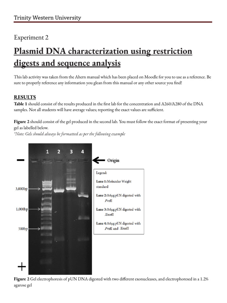 BIOL 223 Experiment 1 - Lab Report Writing Guidelines Fall 2024 | PDF ...