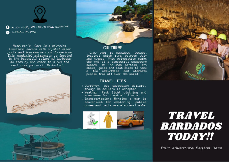 Social Studies Travel Brochure | PDF