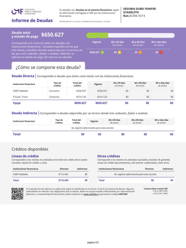 Informe Deudas PDF | PDF | Dinero | Economias