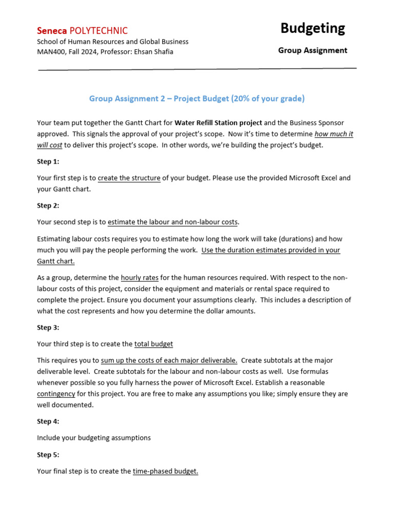 Project Budgeting Assignment Guide | PDF