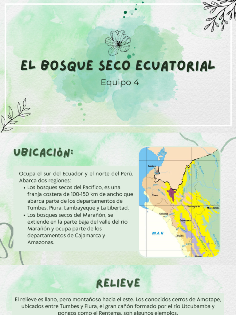 El Bosque Seco Ecuatorial.PDF | PDF