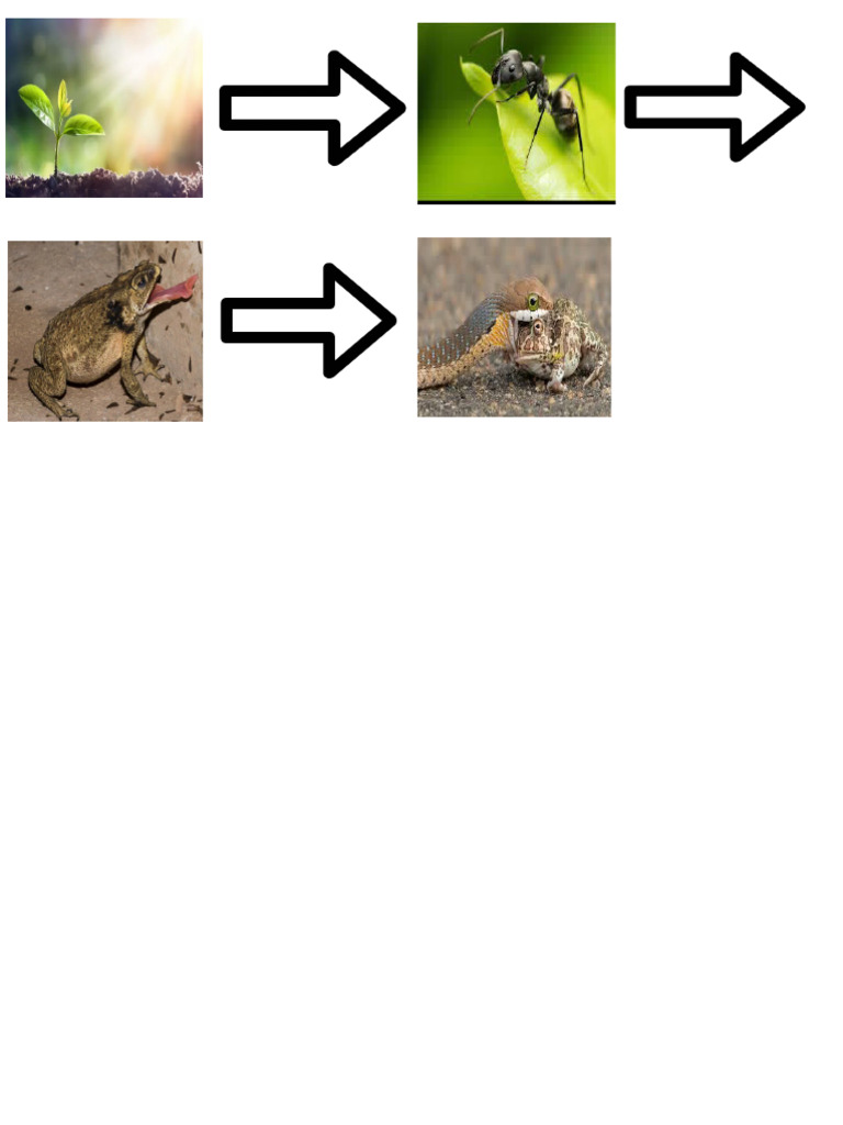 Mama Egla Loca de Mi Tarea | PDF