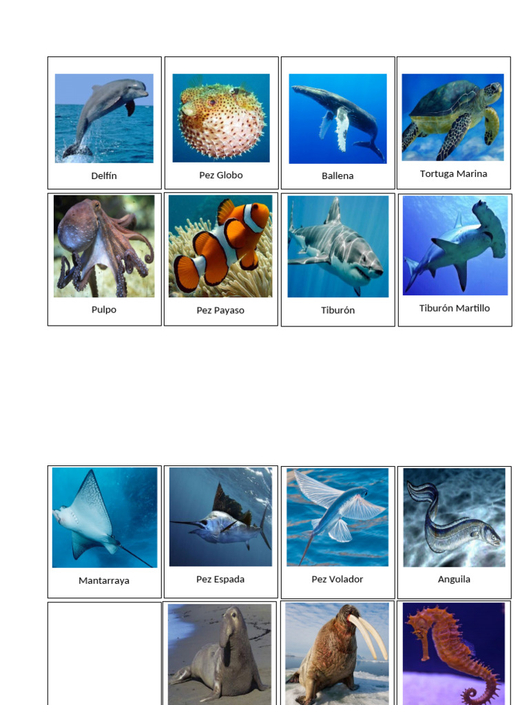 Lista de Animales Acuáticos | PDF