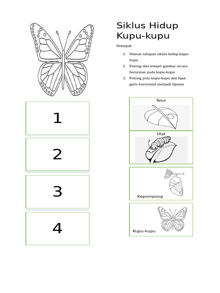 Siklus Hidup Kupu Kupu | PDF