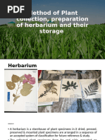 Herbarium Preparation Tools and Techniques | PDF | Leaf | Plants