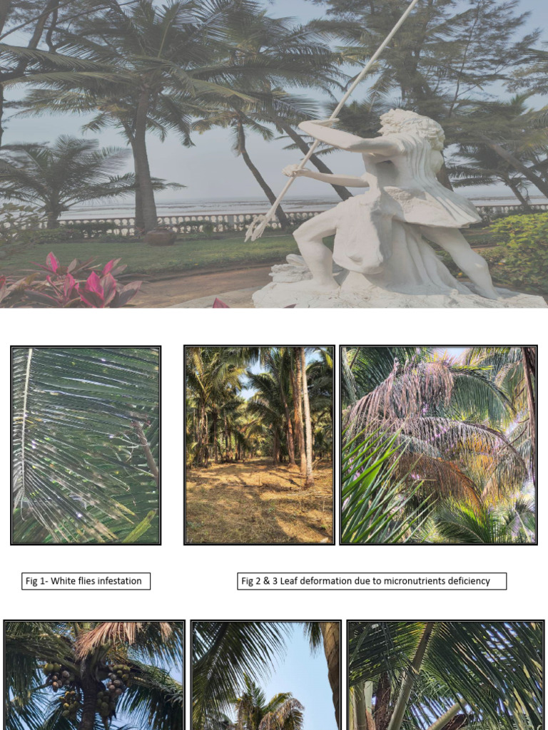 Alibag-compressed | PDF