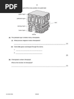 MOCK Exams - Year 9 Checkpoint Science Paper 2 PDF | PDF