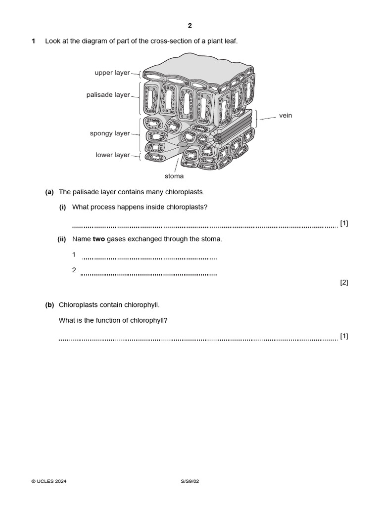 9 Checkpoint 2 Science Edited | PDF | Chlorine | Materials