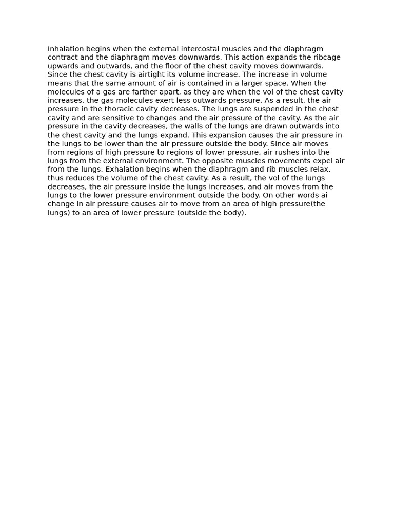 Inhalation Begins When The External Intercostal Muscles and The ...