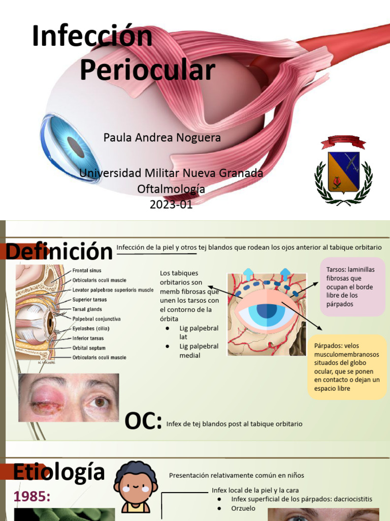 Infeccion Periocular | PDF | Percepción visual | Especialidades Medicas