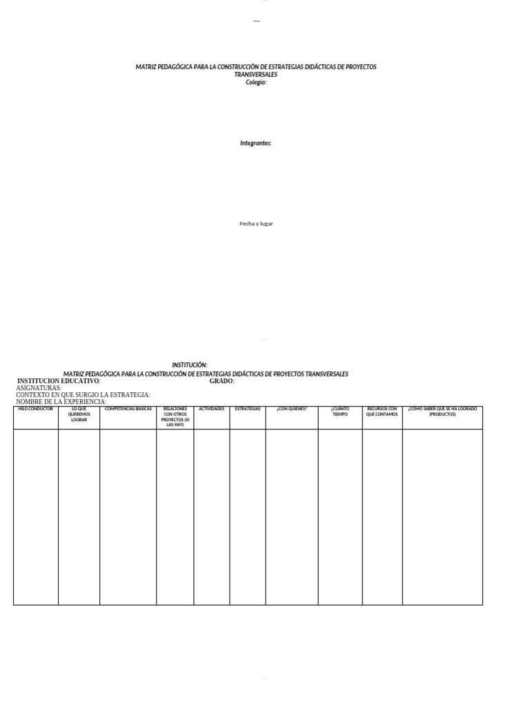 Matriz Proyecto Transversal | PDF