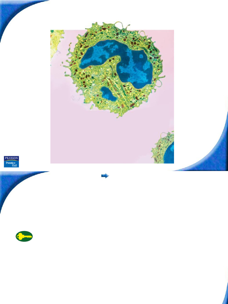 Section 7-3 Cell Boundaries | PDF | Osmosis | Cell Membrane