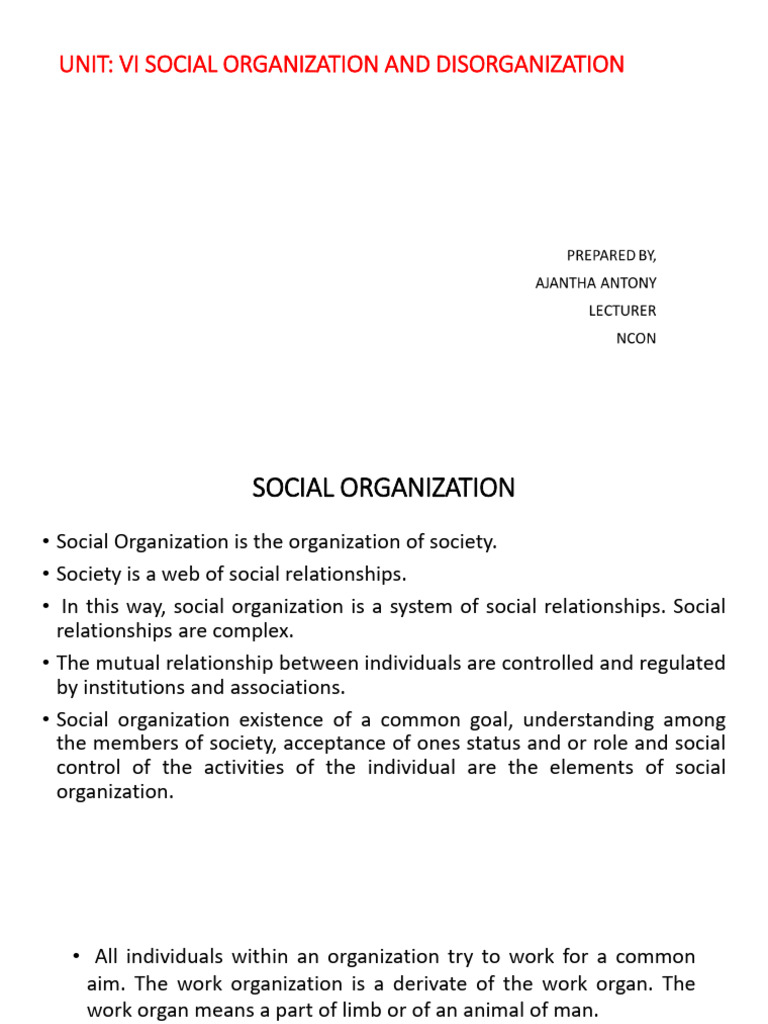 Understanding Social Organization Concepts | PDF | Society | System