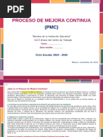Formato de Informe Por Entidad PMC 2023-2024 | PDF