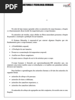 Tipos e Calibres de Agulhas e Seringas | PDF | Seringa | Obesidade