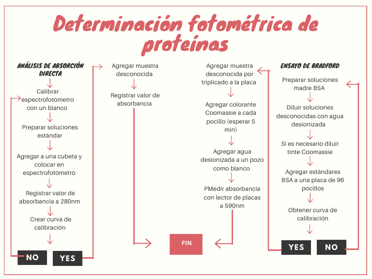 Determinación Fotométrica de Proteínas | PDF