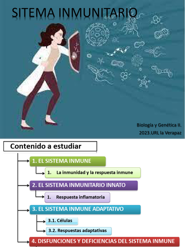 Sistema Inmune. | PDF | Sistema inmune | Linfocitos