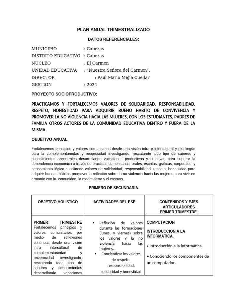 Plan Anual Trimestralizado Primero | PDF | Informática