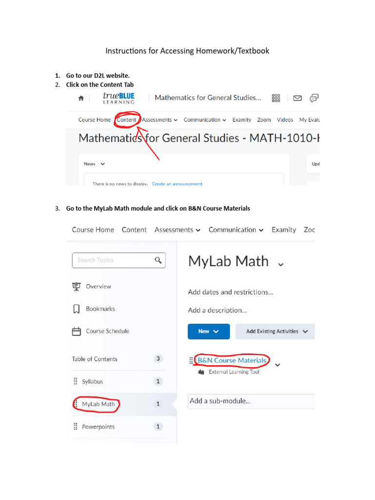 Instructions For MLM | PDF