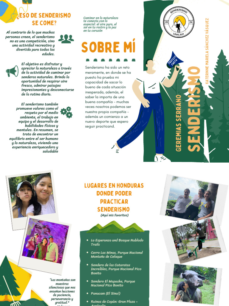 Bold Textured Illustrative Environmental Sustainability Brochure PDF | PDF