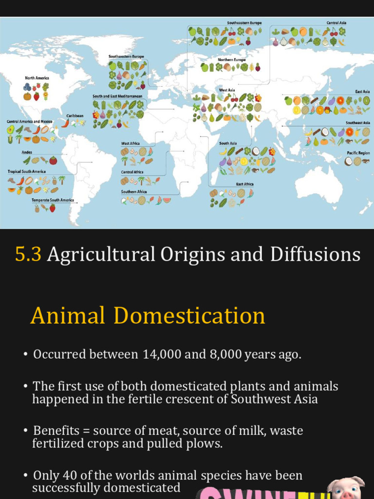 APHG 5.3 | PDF | Agriculture | Domestication