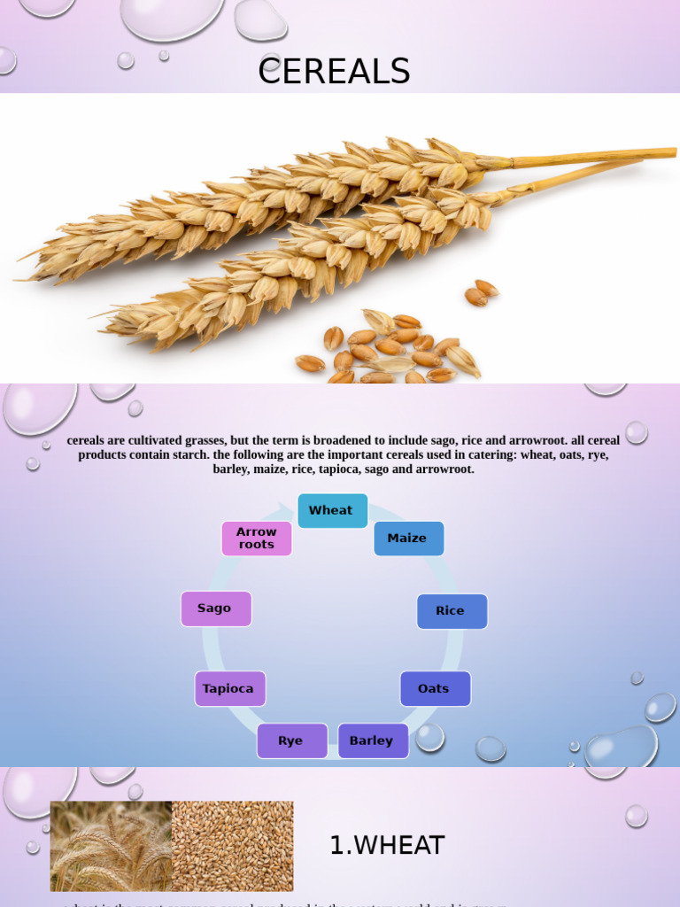 Food Commodities Cereals | PDF | Flour | Cereals