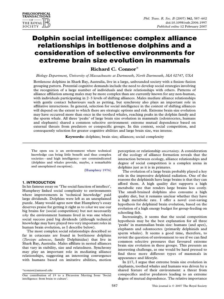 Dolphin Social Intelligence | PDF | Dolphin | Synchronization
