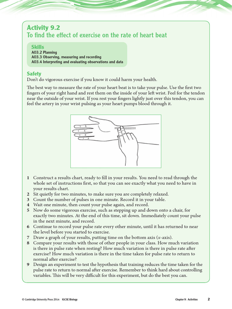 Activity - 9.2 - Breathing On Heart Rate | PDF