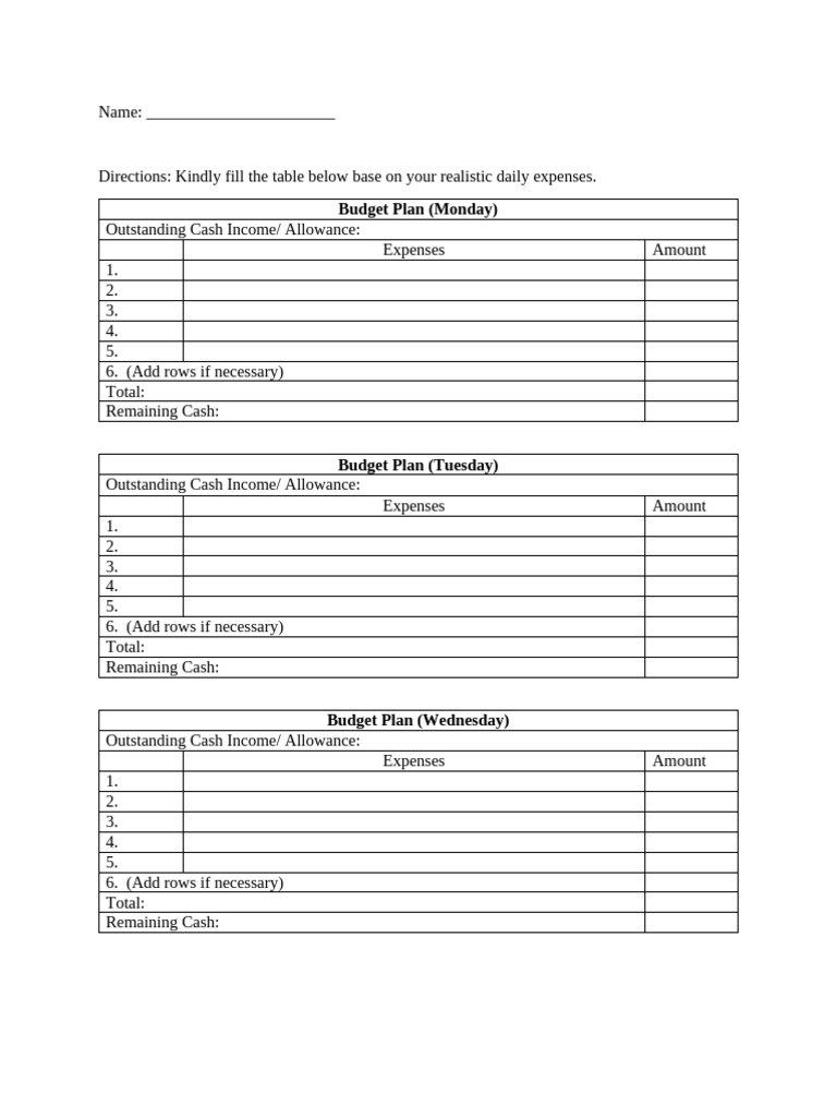 Daily Expenses | PDF