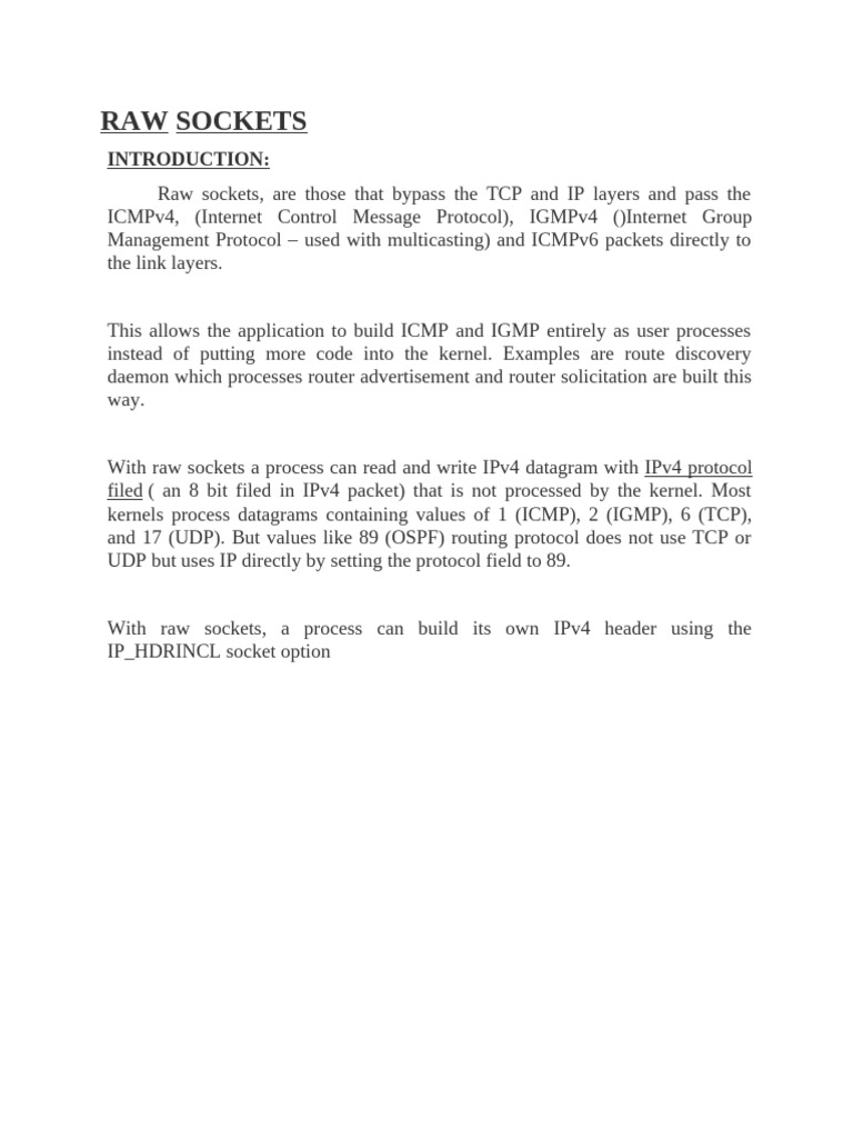 Raw Sockets | PDF | Internet Protocols | Network Socket