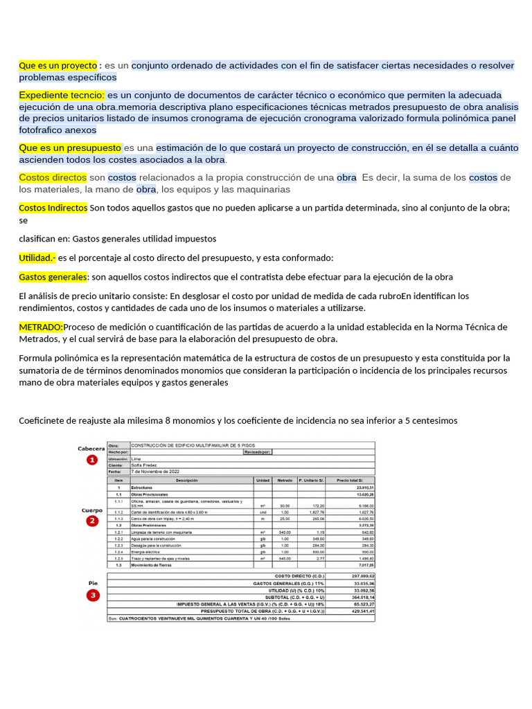 Que Es Un Proyecto | PDF