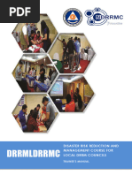 3 - Introduction To DRRMIS | PDF | Information Science | Software