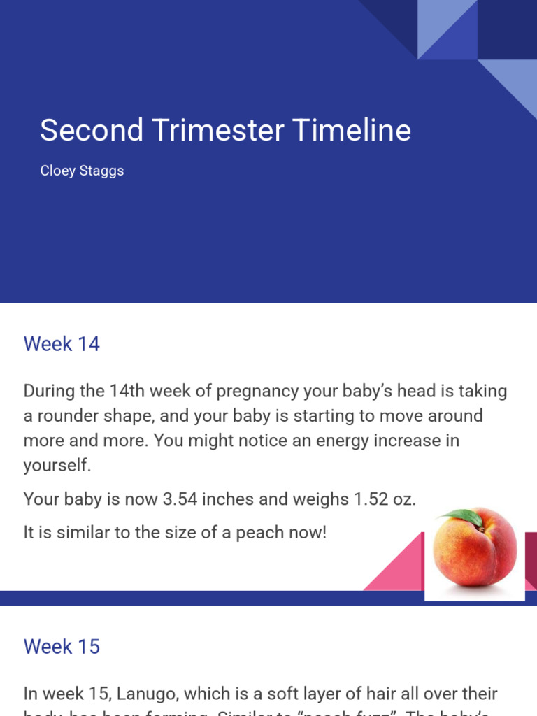 Second Trimester Timeline | PDF