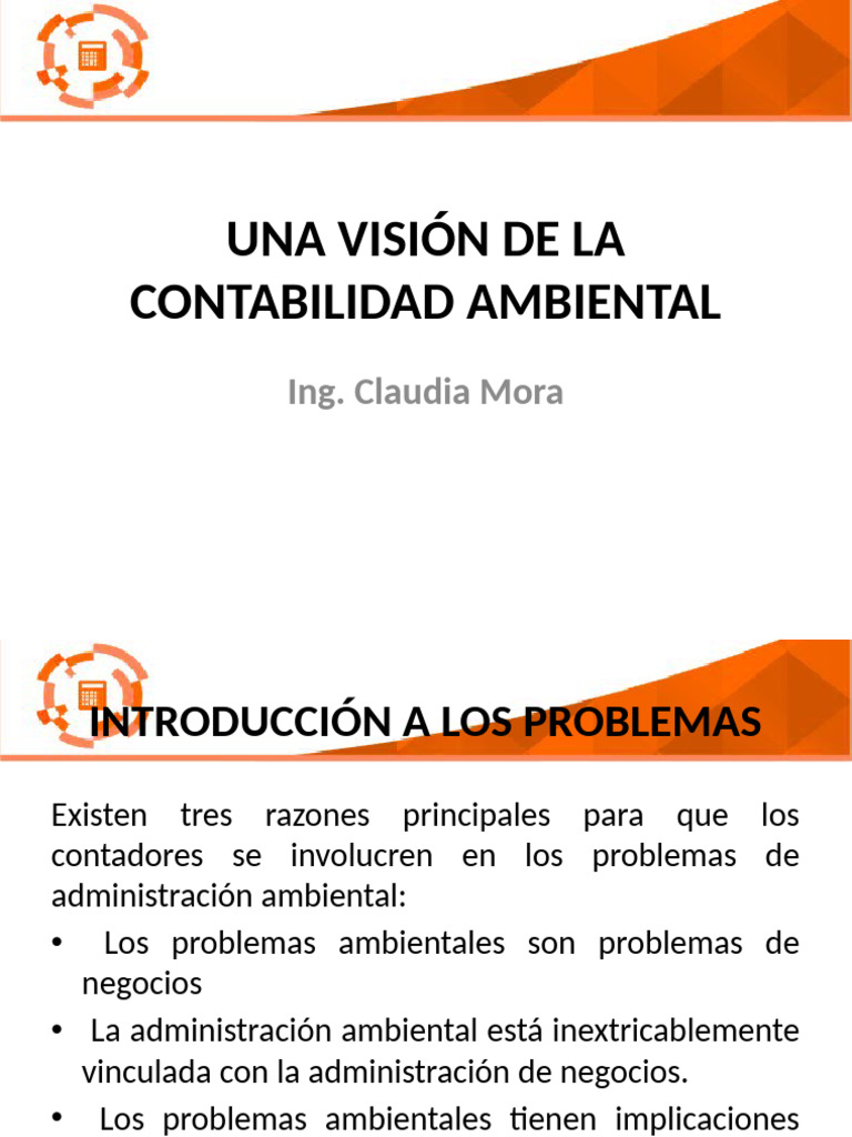 Una Visión de La Contabilidad Ambiental - 1 | PDF | Contabilidad ...