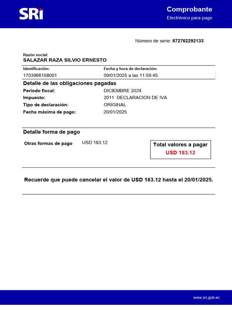 Comprobante Pago IVA Diciembre 2024 | PDF