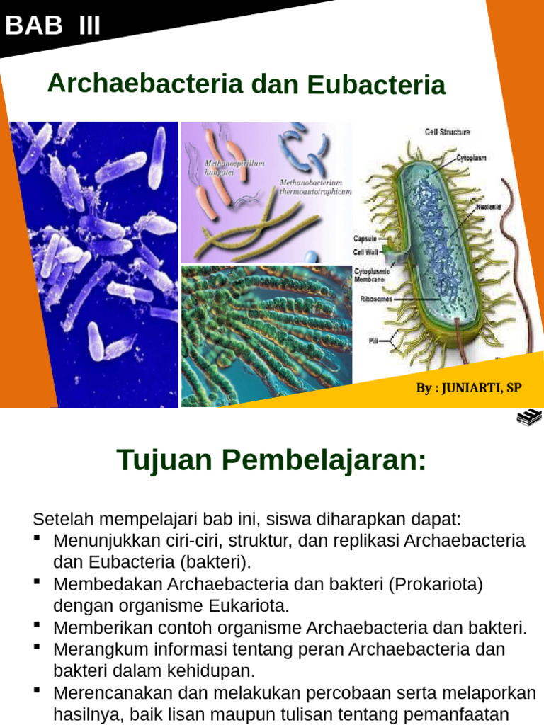 Archaebacteria & Eubacteria | PDF