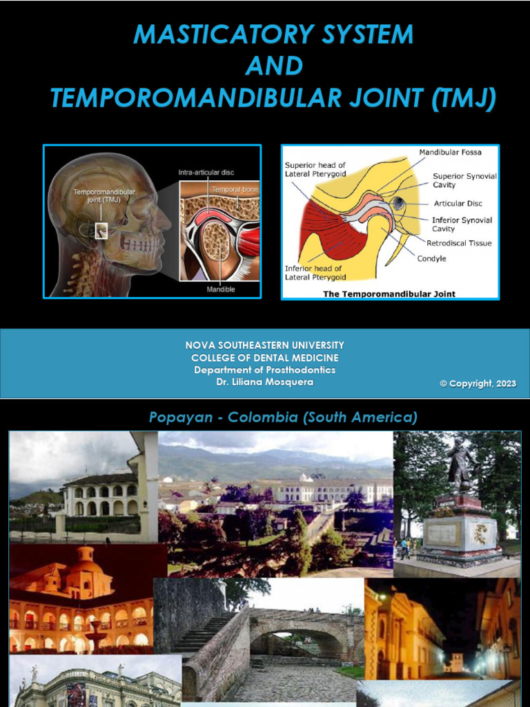 Anatomy+of+the+Masticatory+System+and+TMJ+2023 +DR +mosquera | PDF ...