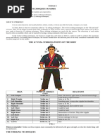 12 Strikes and Blocks in Arnis | PDF