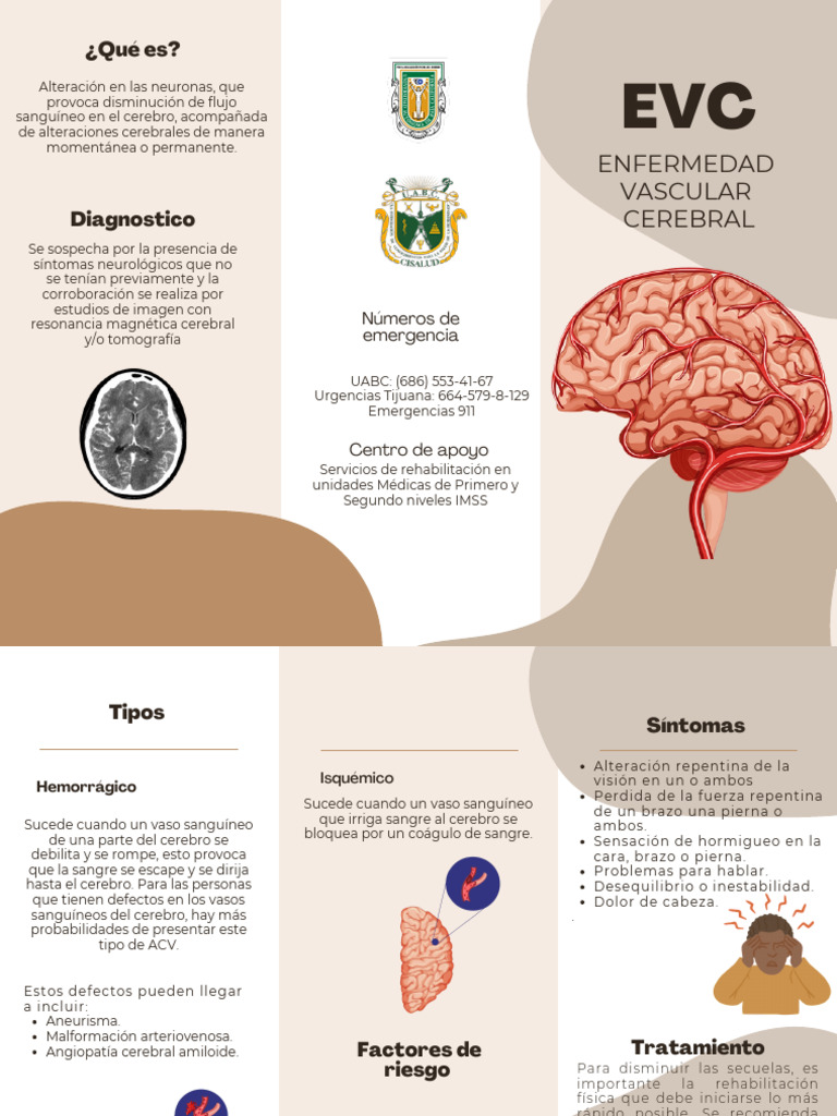 Tríptico EVC | PDF | Carrera | Enfermedades y trastornos